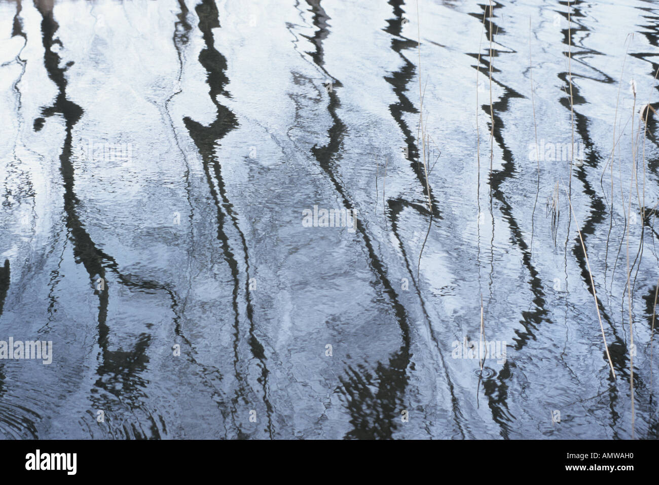 Reflection in the water Stock Photo - Alamy