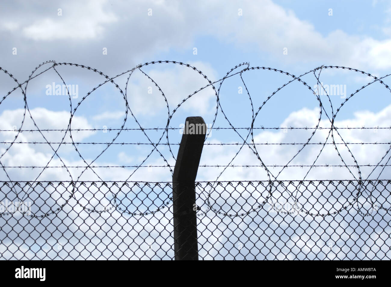 Barbed wire on a fence Stock Photo - Alamy