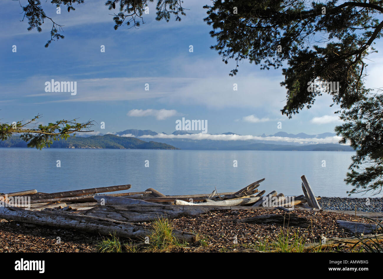 Timber Flotsam washed ashore on Quadra Island, Georgia Strait. BC ...