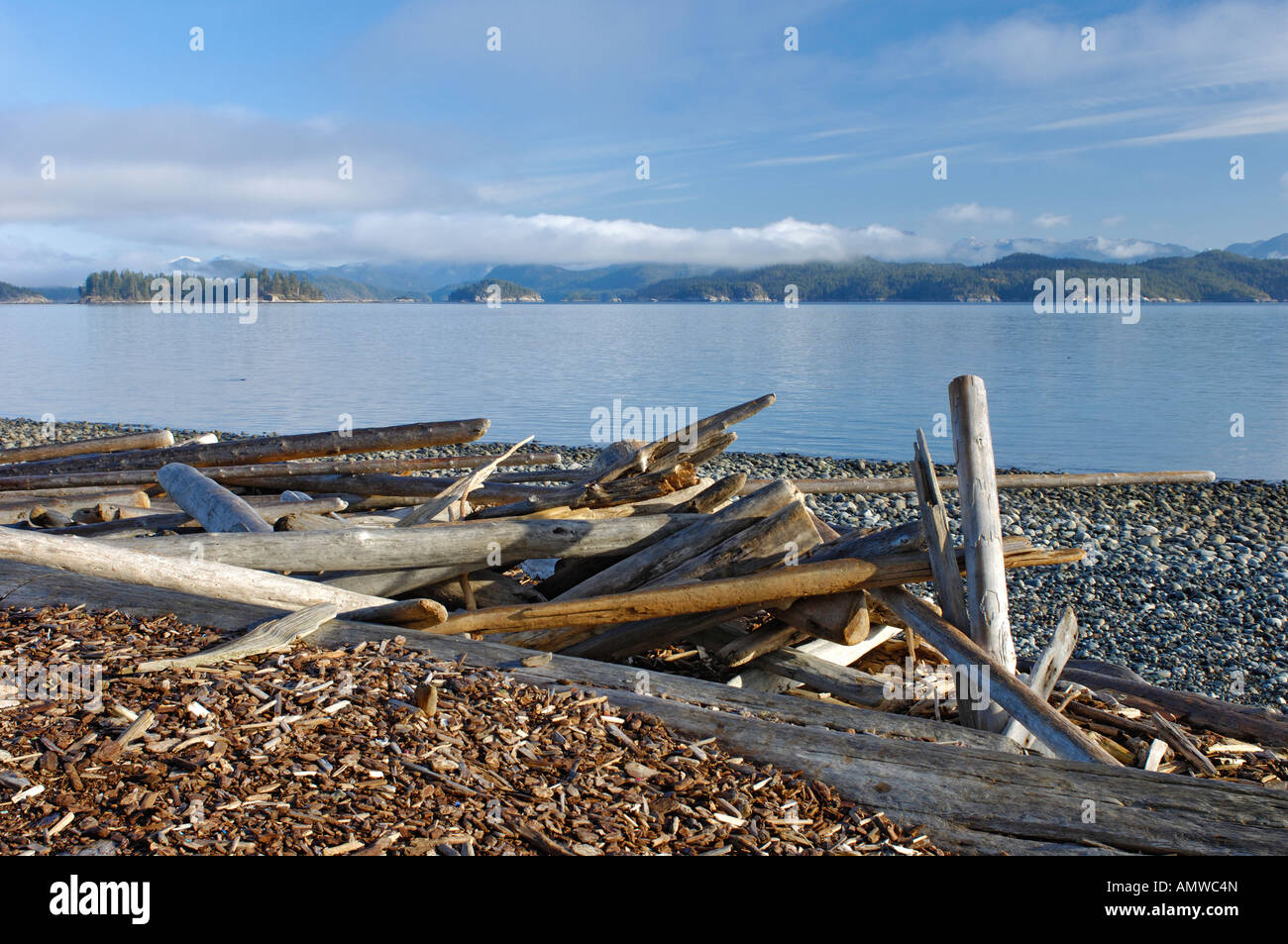 Timber Flotsam washed ashore on Quadra Island, Georgia Strait. BC ...