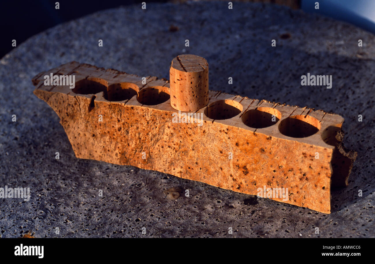 Block of cork showing how corks for bottles are drilled straight from ...
