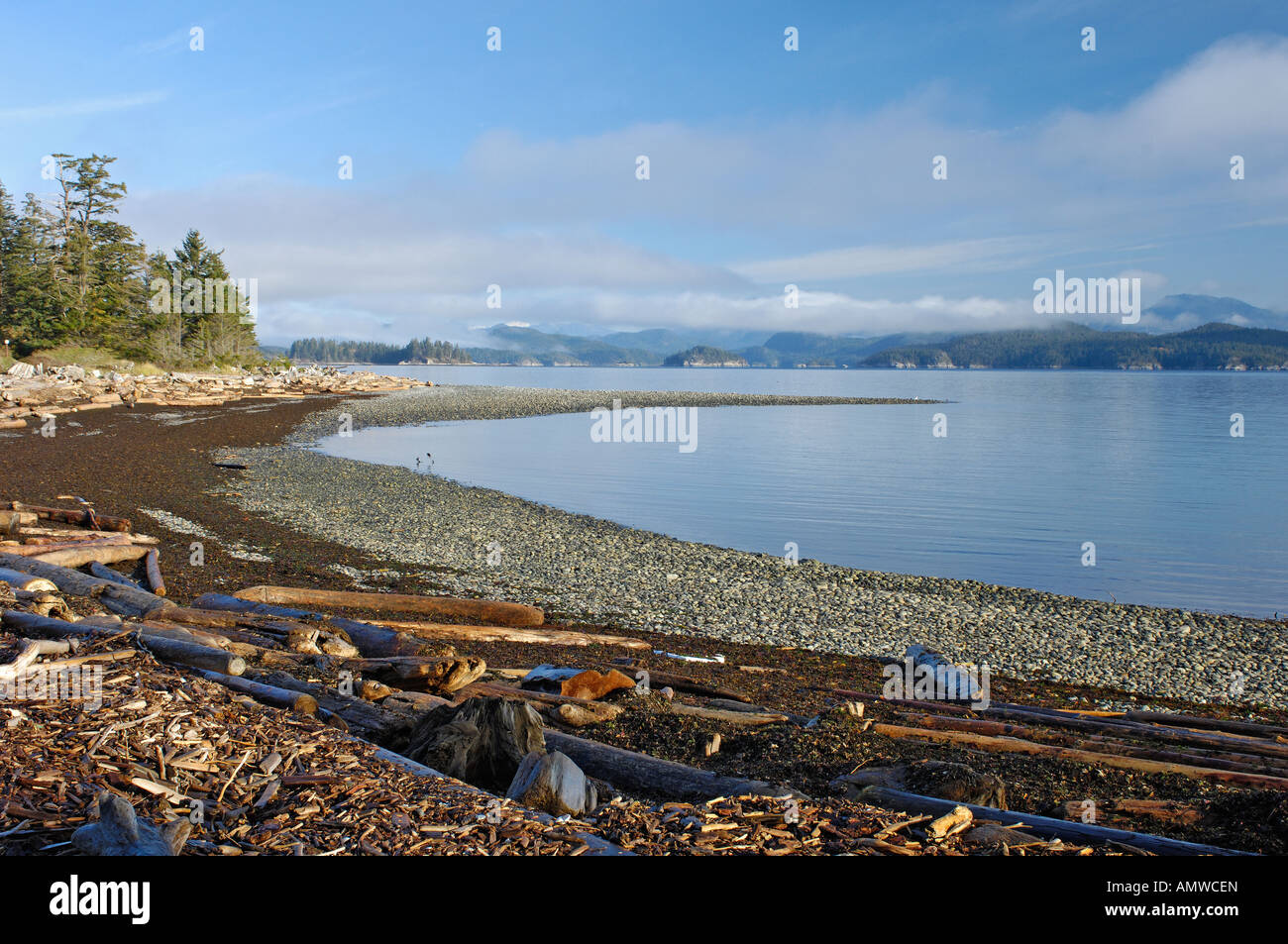 Timber Flotsam washed ashore on Quadra Island, Georgia Strait. BC ...