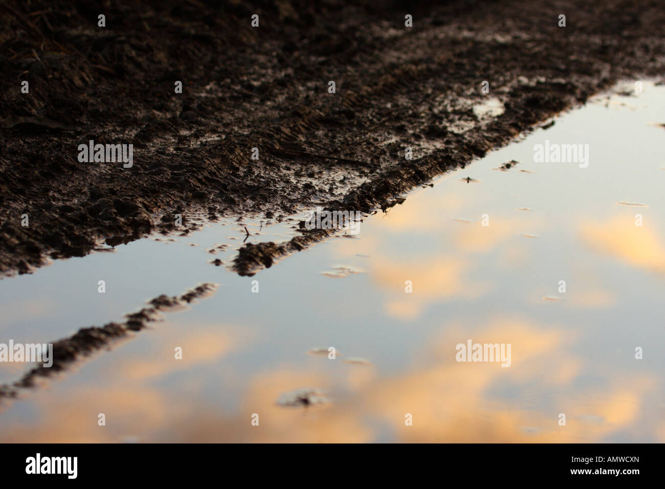 Relection of Sunset in Puddle Stock Photo - Alamy