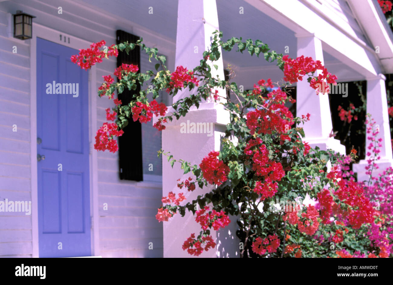 North America, USA, Florida, Key West. Colonial style architecture and ...