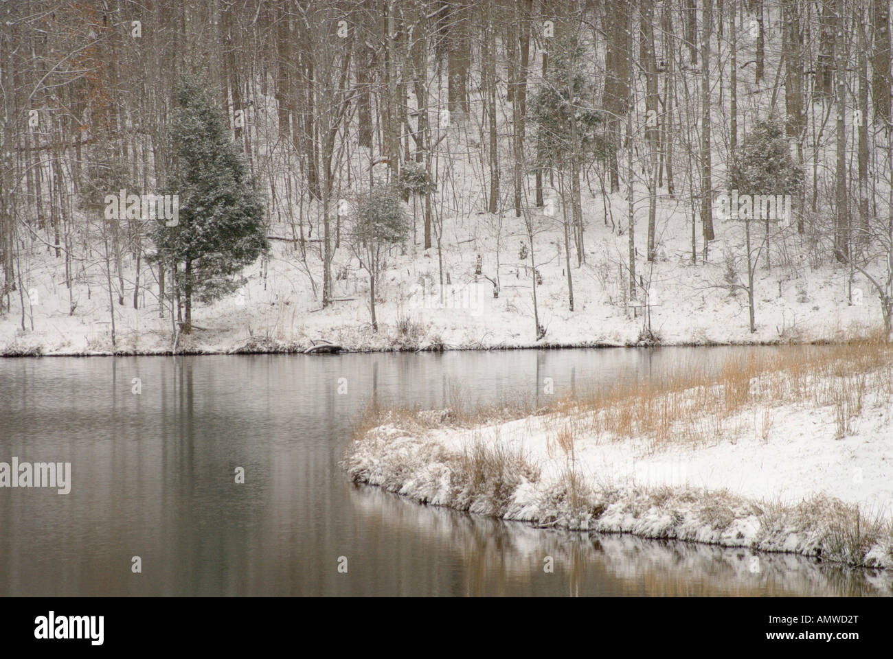 snow,shoreline of lake Stock Photo - Alamy