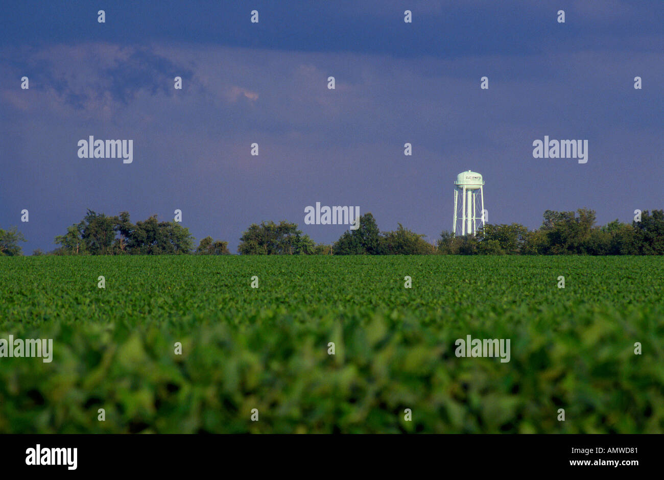 Soybean field and Water tower, Illinois Stock Photo - Alamy