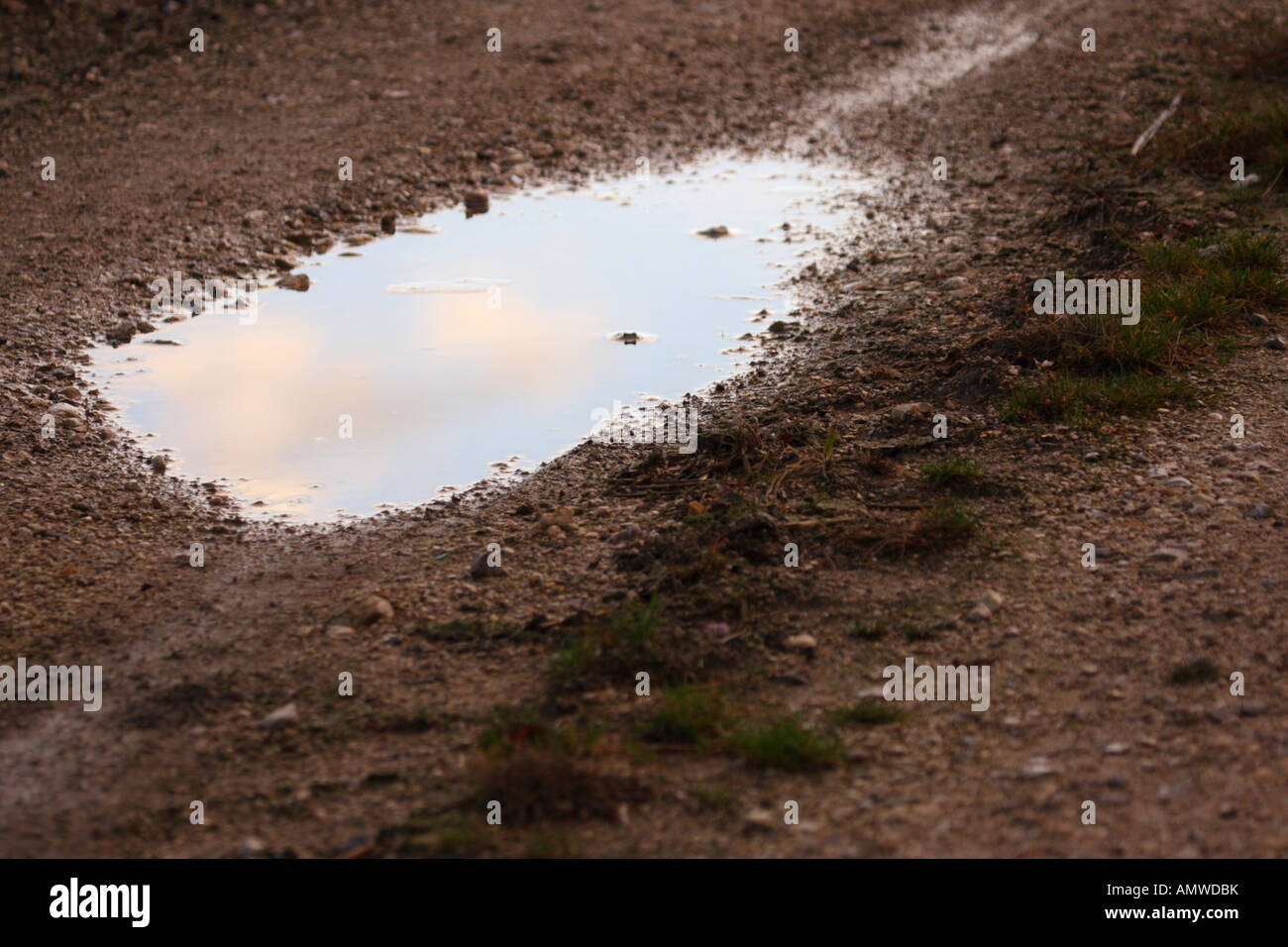 Relection of Sky in Puddle Stock Photo - Alamy