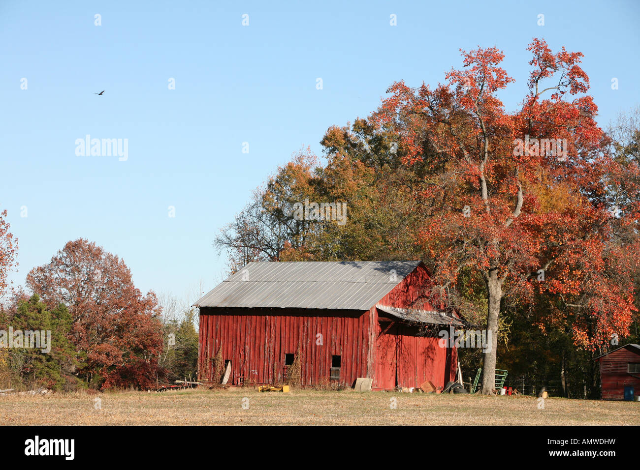 North Carolina trees Colors Stock Photo - Alamy