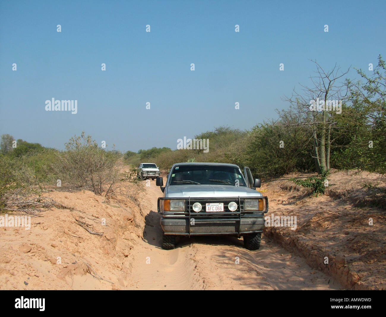 Driving though a unpaved syndy road in the West of the Gran Chaco at ...