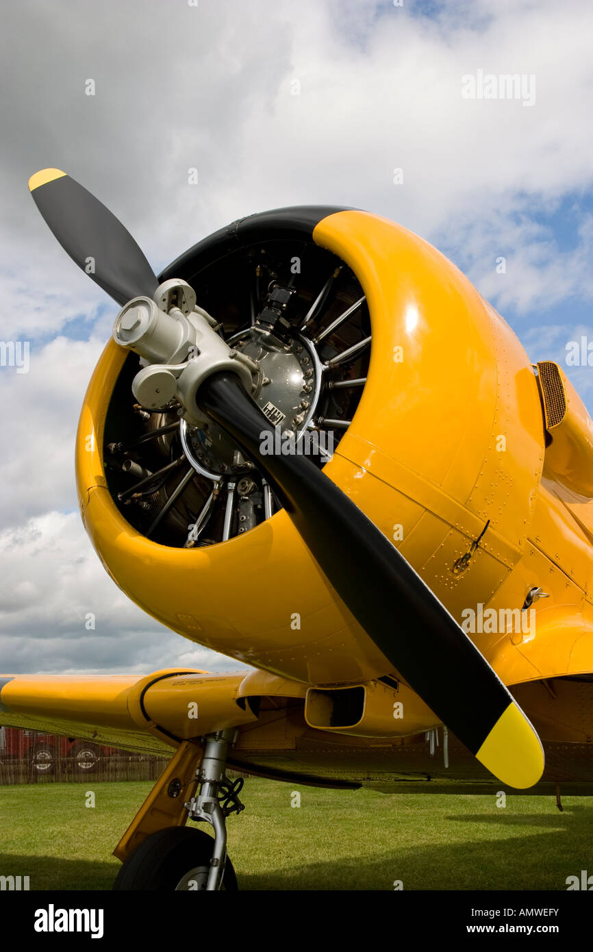 1953 North American T-6 Harvard on static display at Goodwood Revival ...