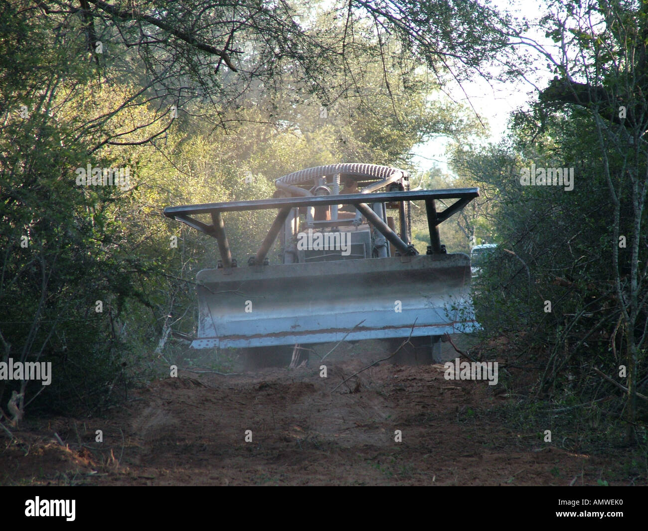 Clearing of the dry forest with bulldozer, Gran Chaco, Paraguay Stock ...