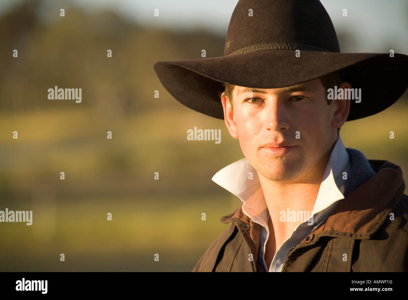 A farmer mustering sheep early in the morning Stock Photo - Alamy
