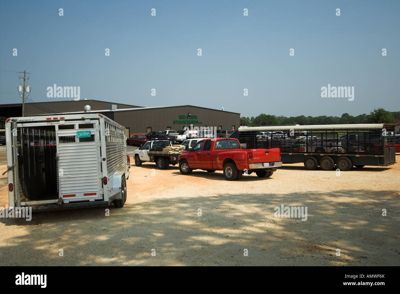 Livestock auction usa hi-res stock photography and images - Alamy