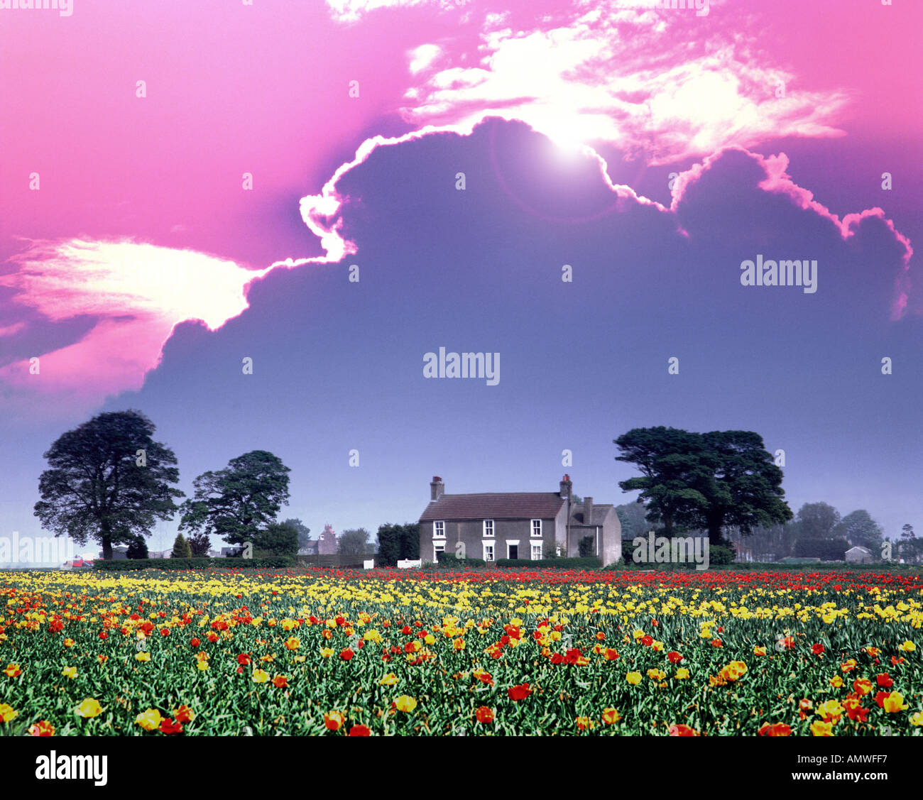 Nag883802 hi-res stock photography and images - Alamy