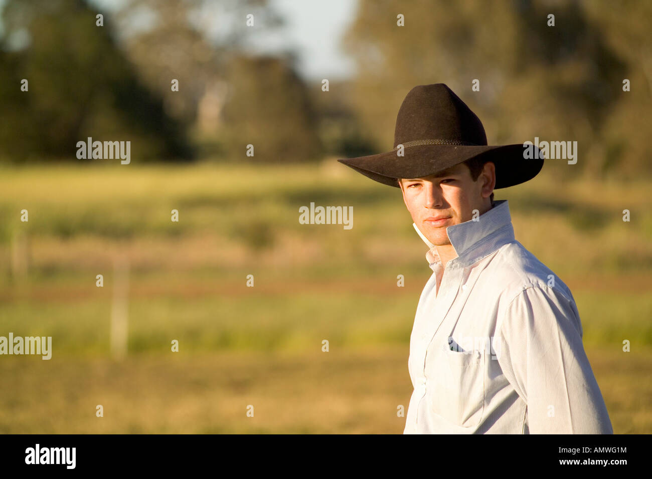 A farmer mustering sheep early in the morning Stock Photo - Alamy