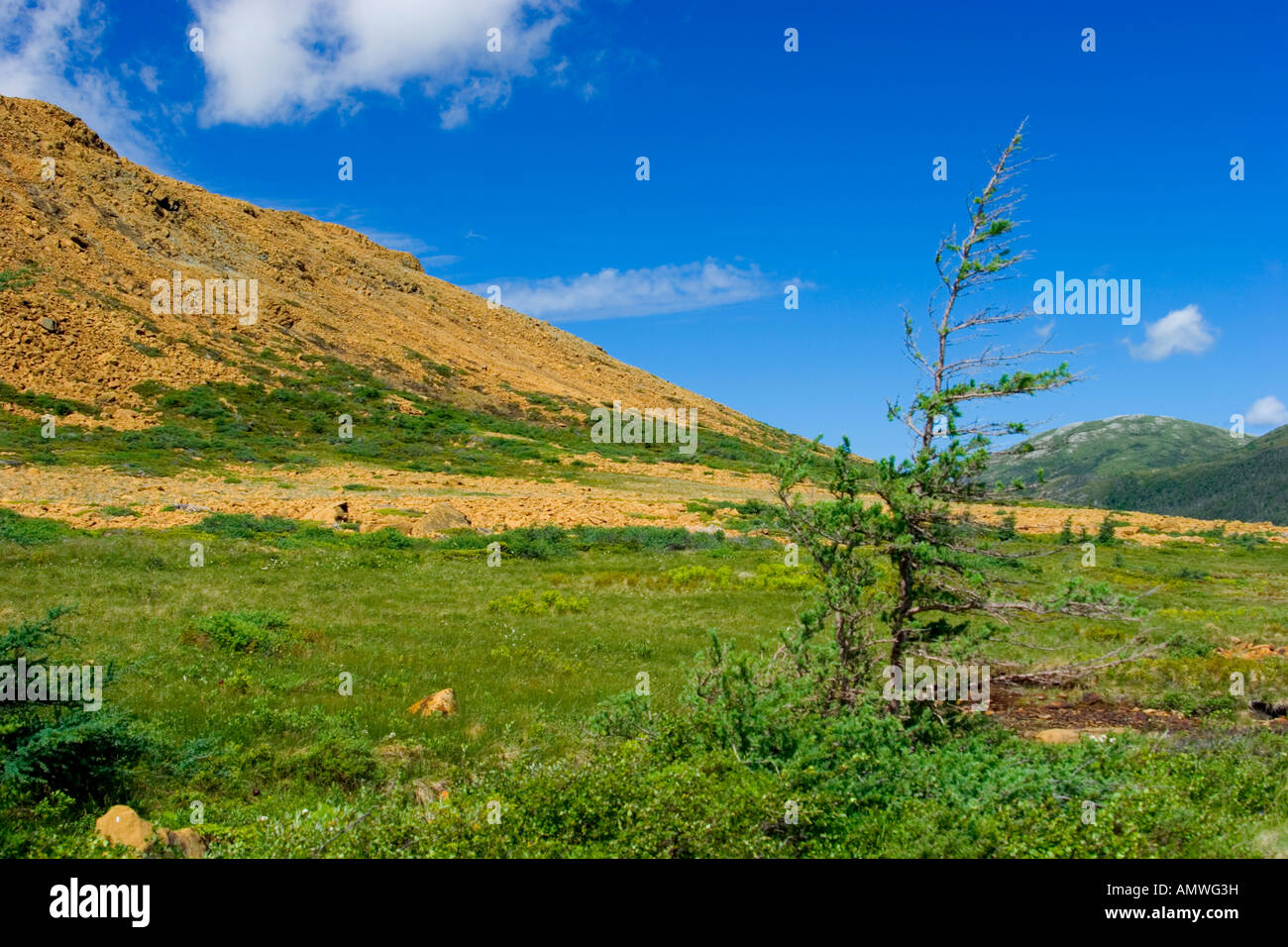 Tablelands Gros Morne National Park Newfoundland Canada Stock Photo - Alamy