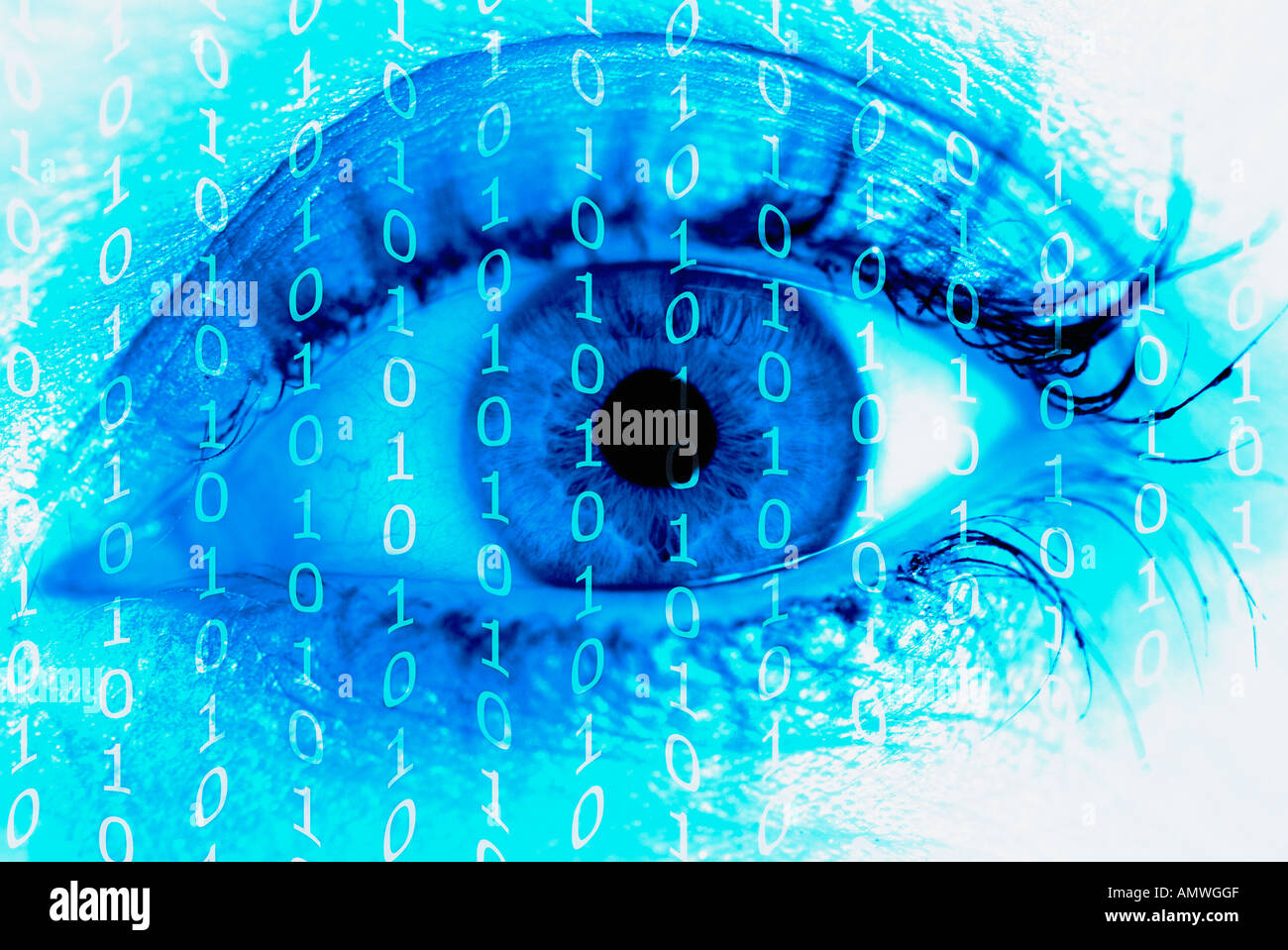 Biometric Concept Showing a Human Females Eye and Binary Digits Stock ...