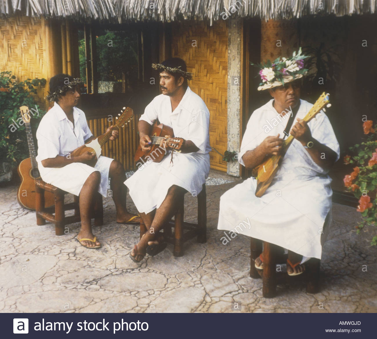 Musical Stringed Instruments High Resolution Stock Photography and ...