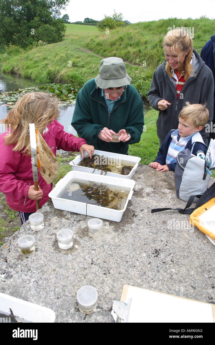 Young girl placing pond samples into inspection trays during school ...