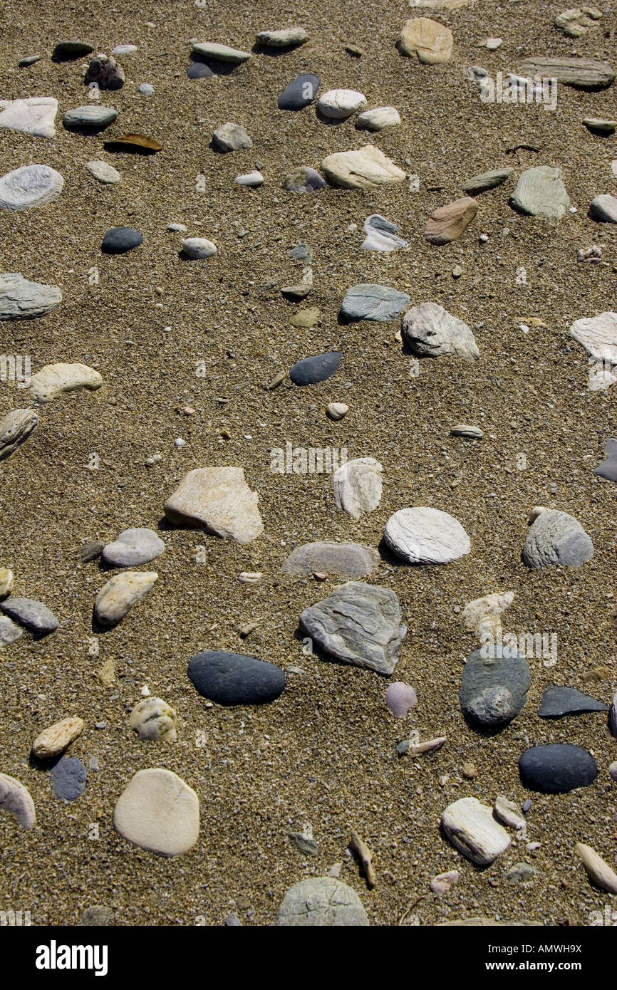 Pebbles in the sand Stock Photo - Alamy