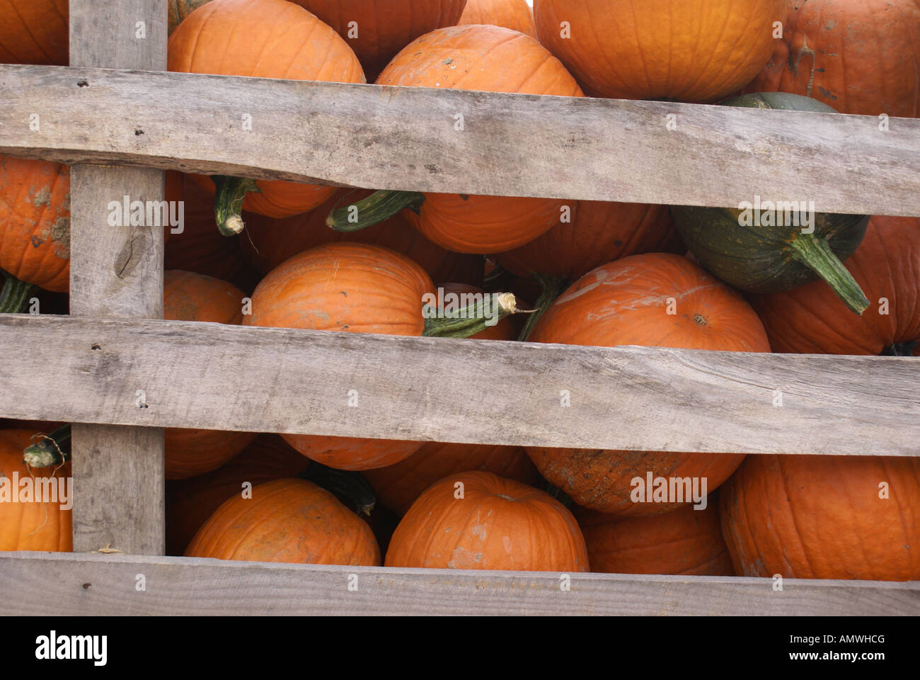 Packed truck hi-res stock photography and images - Alamy
