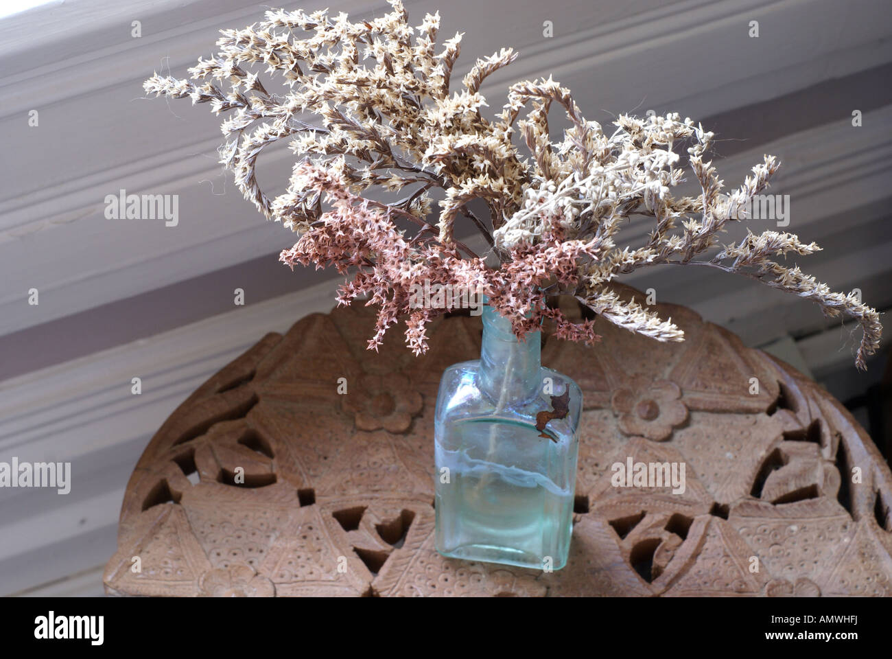 Plants grown inside old hi-res stock photography and images - Alamy