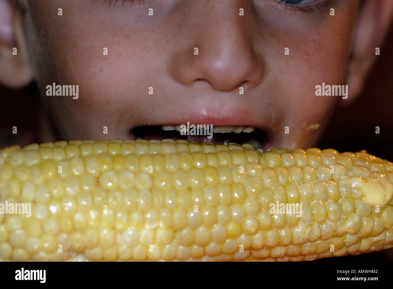 Boy missing front tooth eating corn on cob Stock Photo - Alamy