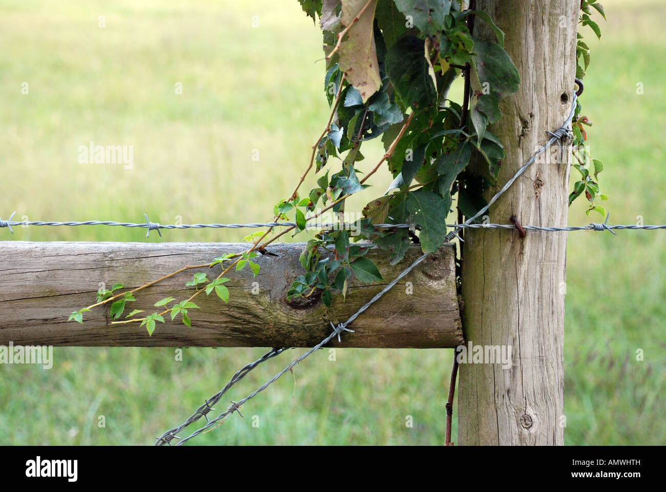 Barbed wire fence post Stock Photo - Alamy