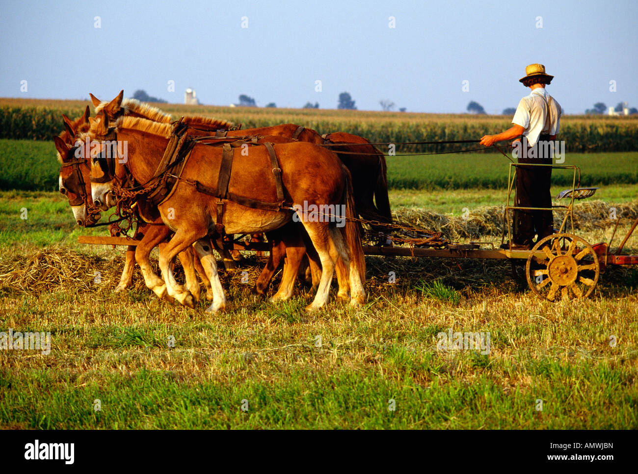 Pennsylvania dutch country hi-res stock photography and images - Alamy