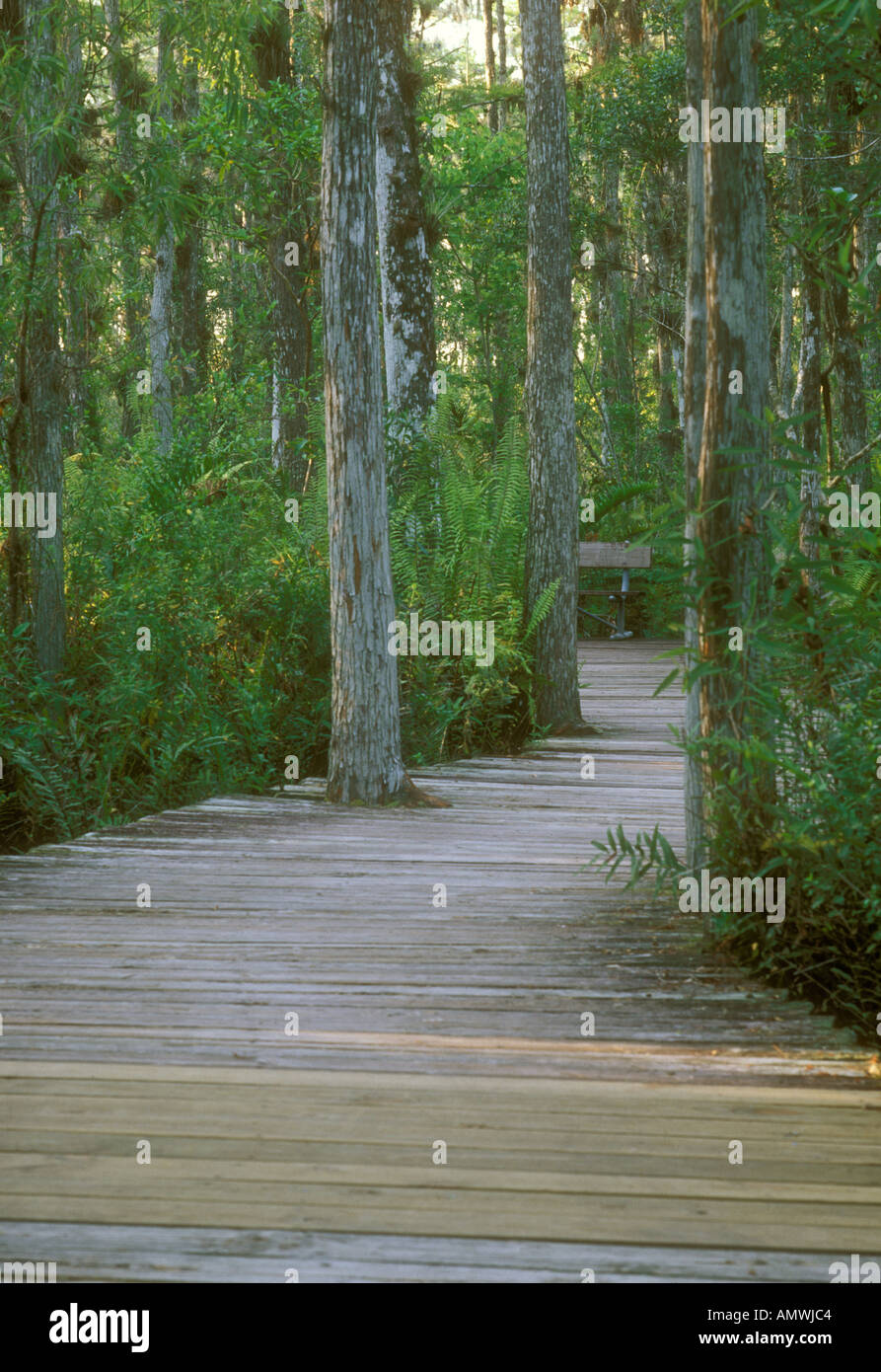 Boardwalk Arthur R Marshall Loxahatchee National Wildlife Refuge ...