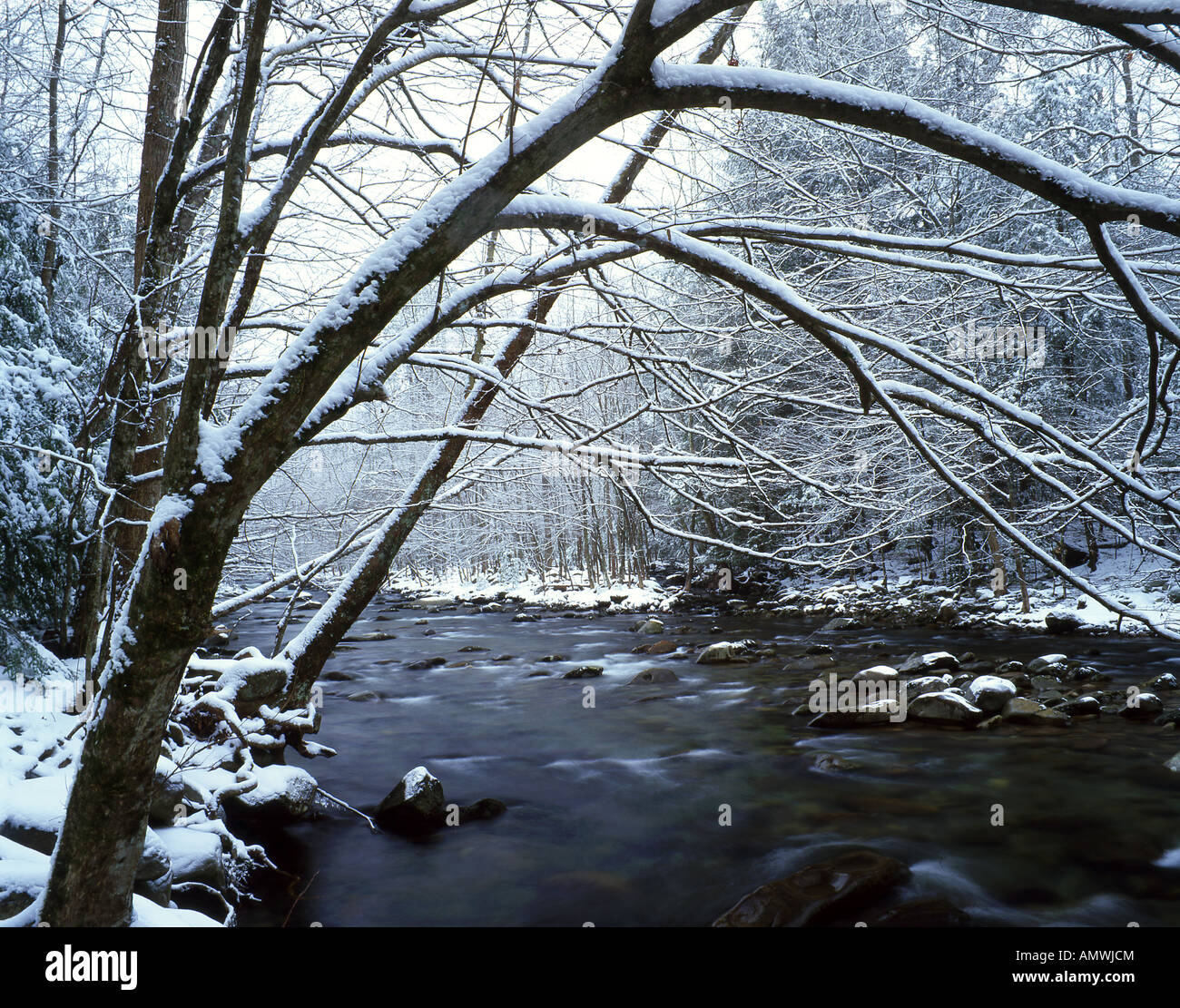 Trout stream in winter during a light snowfall Stock Photo - Alamy