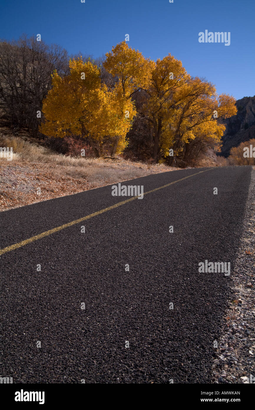 Recreation path for bikes, walking, running, in Fall. two lane path ...