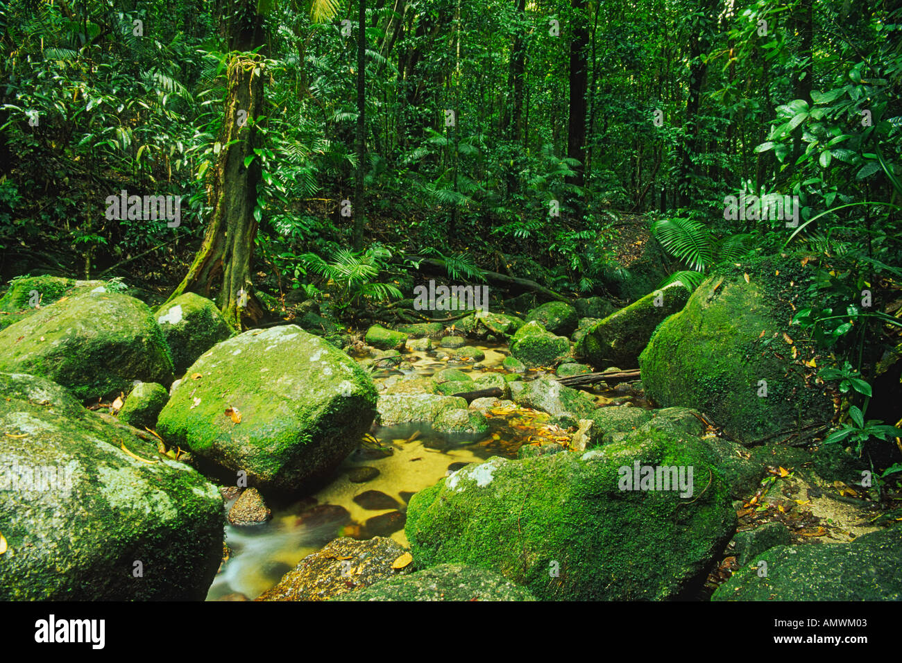 Mossman boulders rocks nature hi-res stock photography and images - Alamy