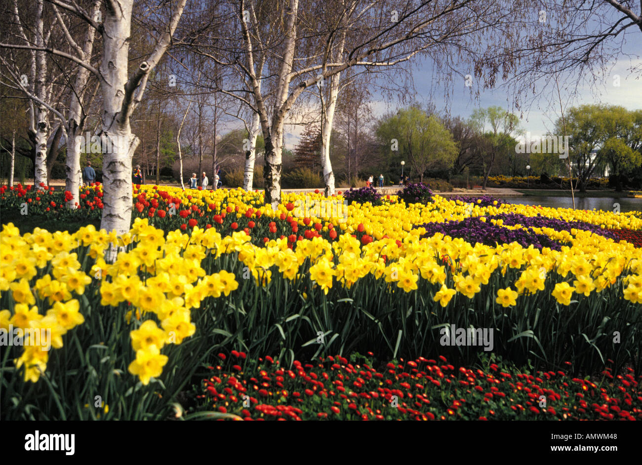 Annuals bulbs perennials hi-res stock photography and images - Alamy