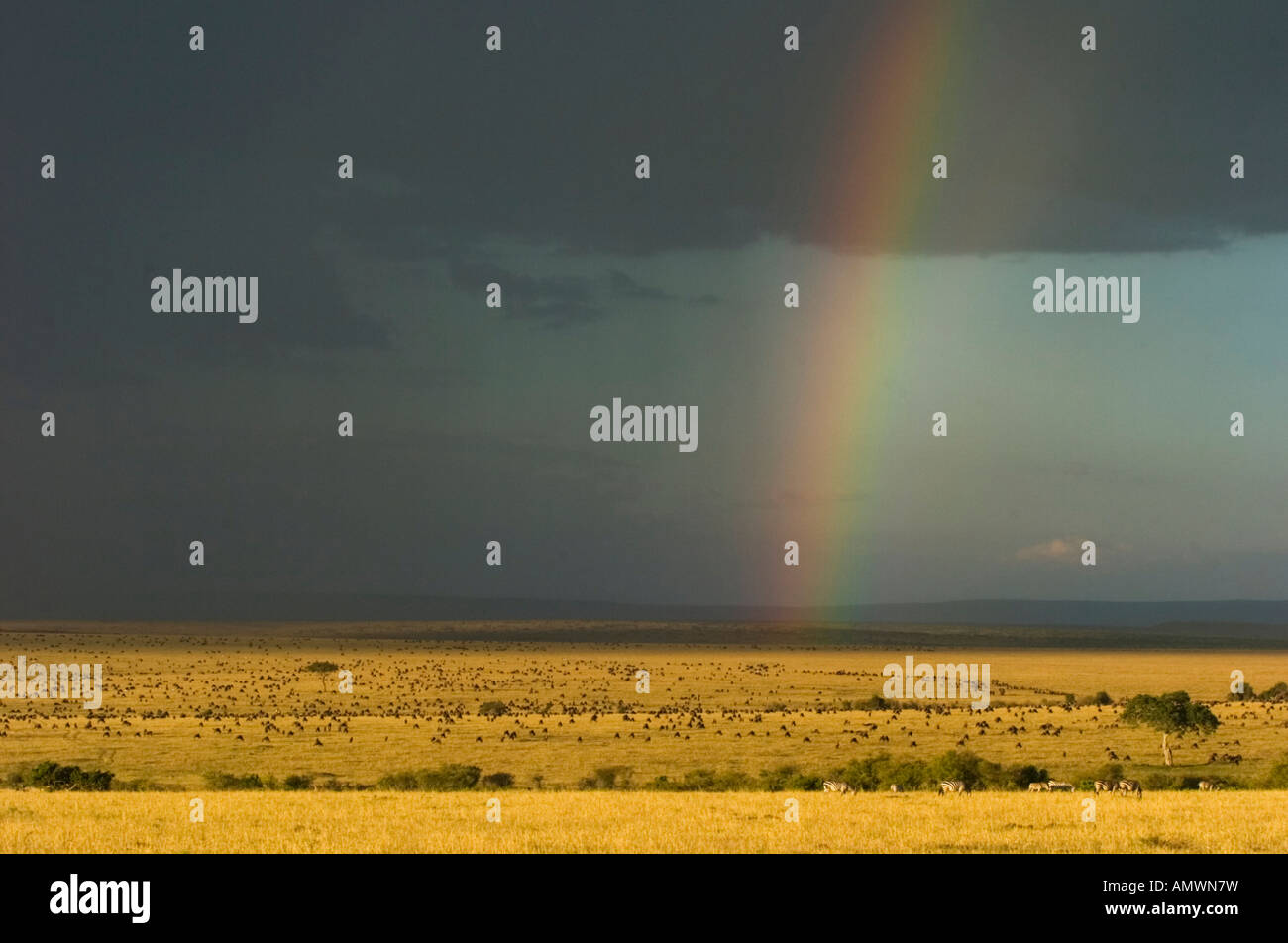 Scattered rainfall hi-res stock photography and images - Alamy