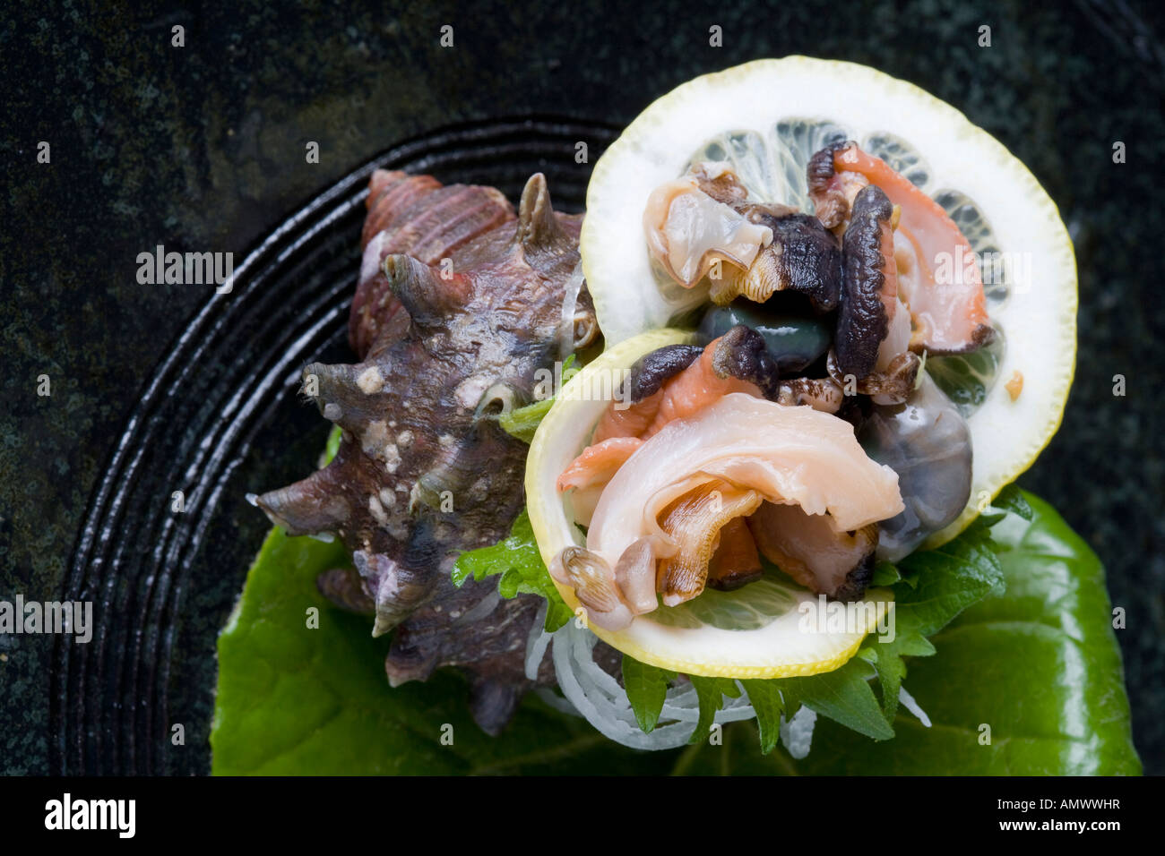 Sashimi of top shell hi-res stock photography and images - Alamy