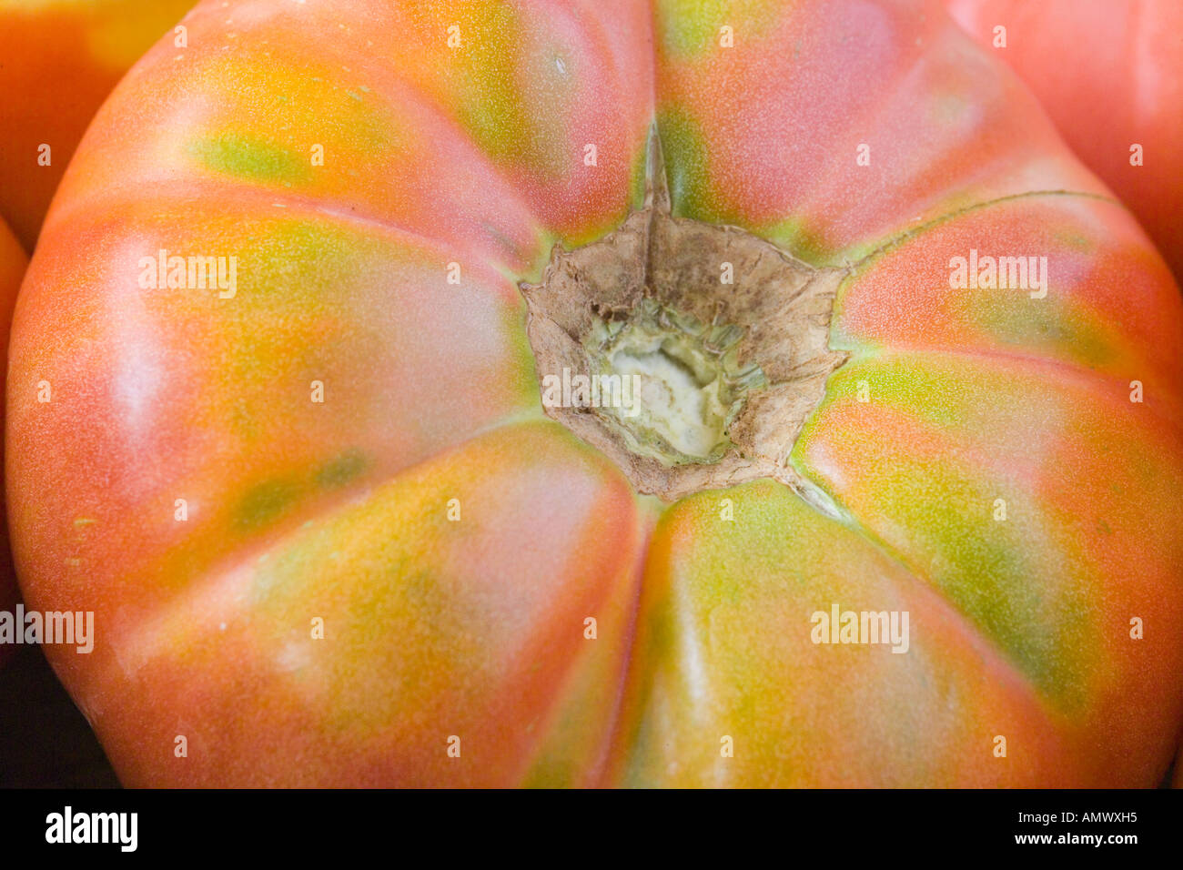 Big Red tomato close up Solanum lycopersicum Stock Photo - Alamy