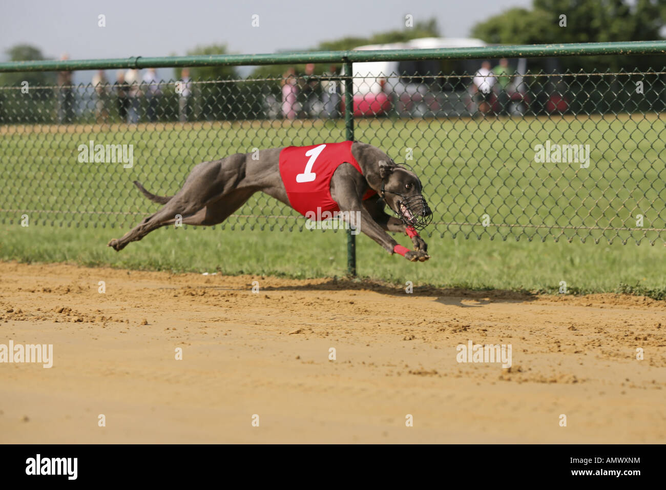 Contestants number numbers hi-res stock photography and images - Alamy