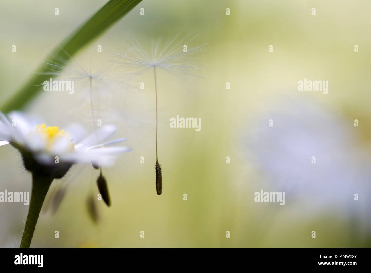 English sch hi-res stock photography and images - Alamy