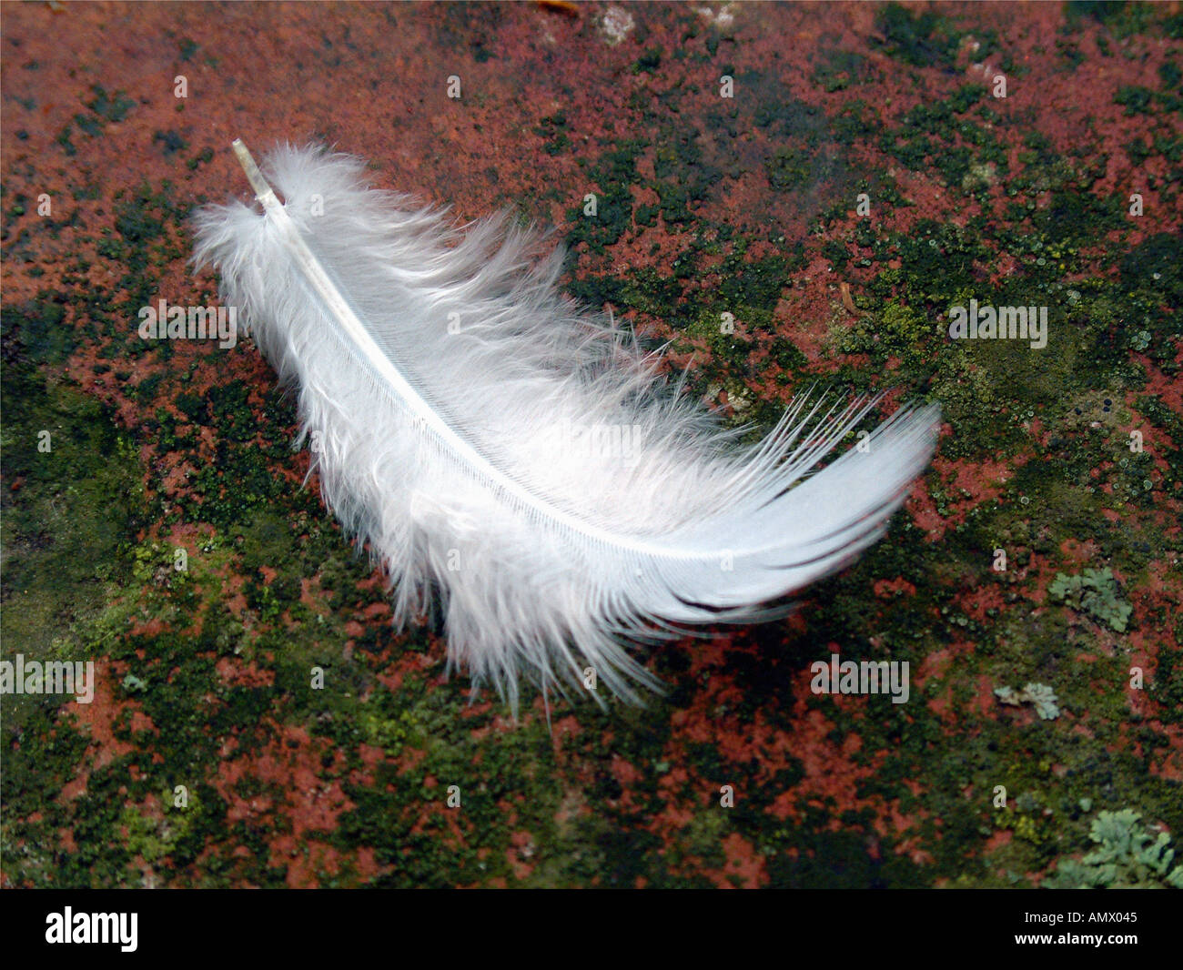 Angelic symbolism hi-res stock photography and images - Alamy