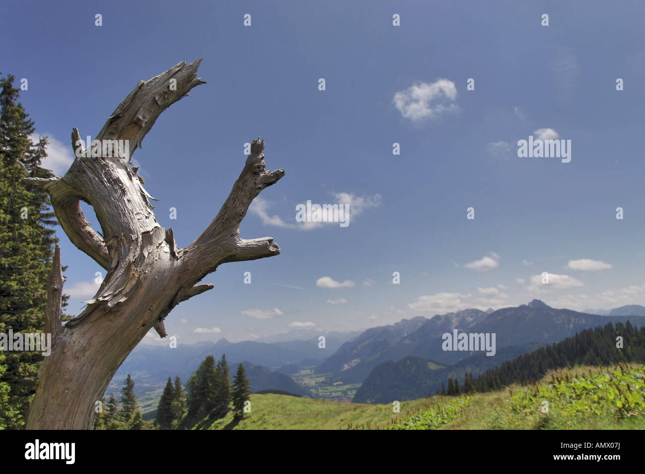 mountain scenery, Germany, Bavaria, Allgaeu, Nesselwang Stock Photo - Alamy