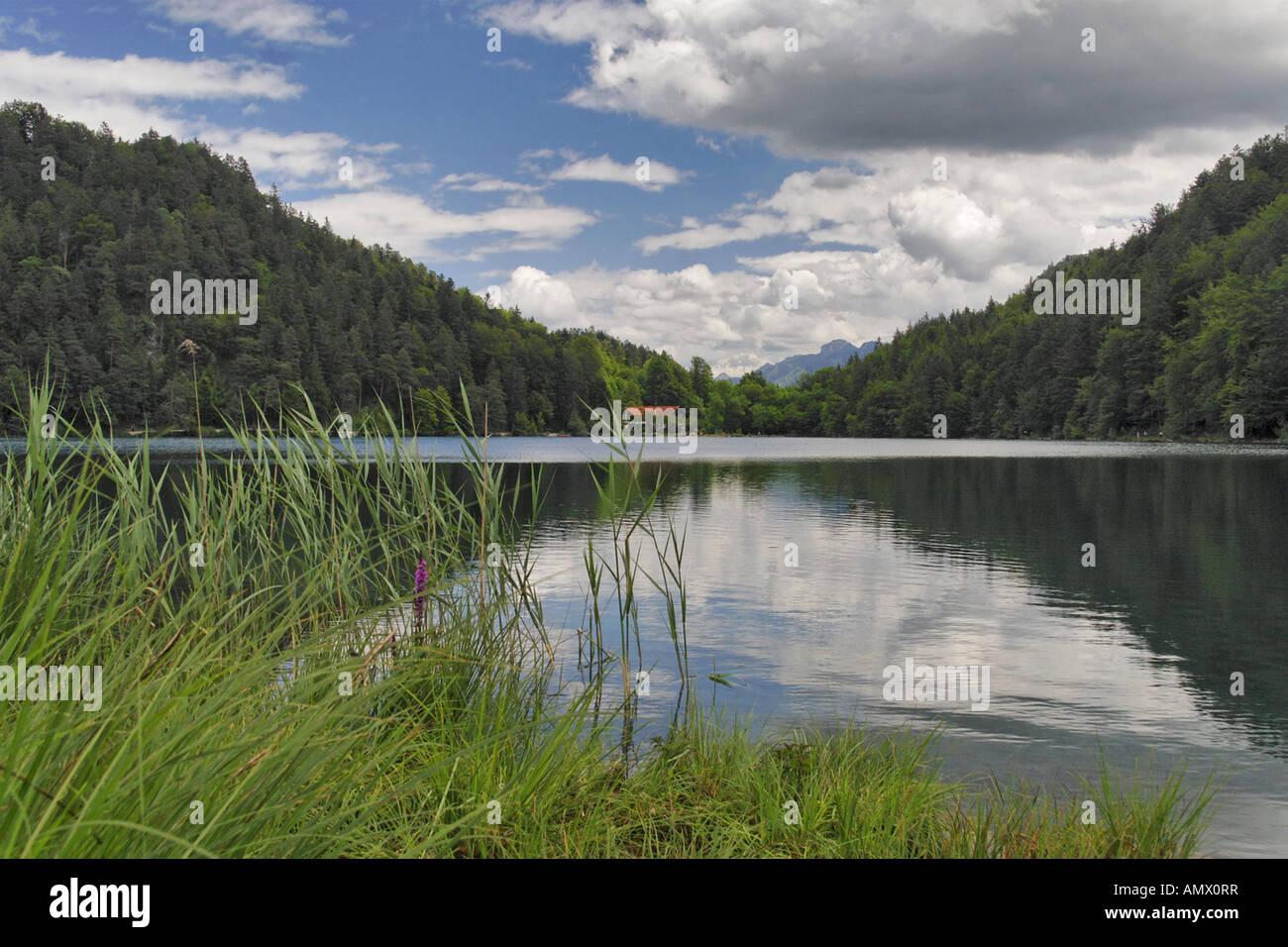 Alat hi-res stock photography and images - Alamy