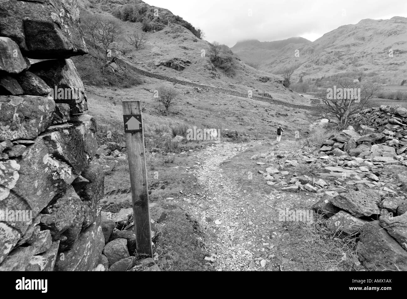 Lake District path, Langdale valley, Lake District, England - Black and ...