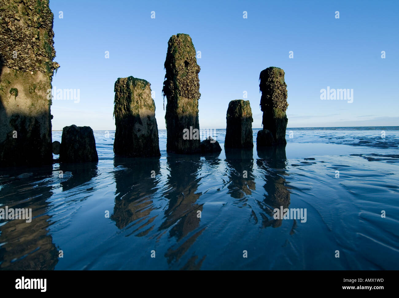Shoreham on sea beach High Resolution Stock Photography and Images - Alamy