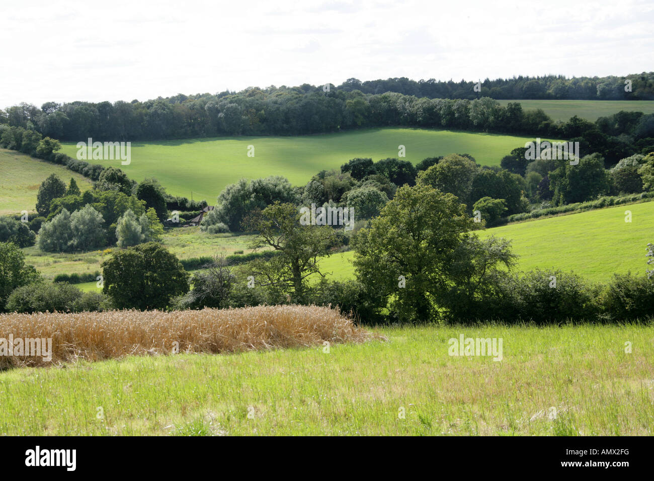 Chess Valley, Hertfordshire Stock Photo - Alamy