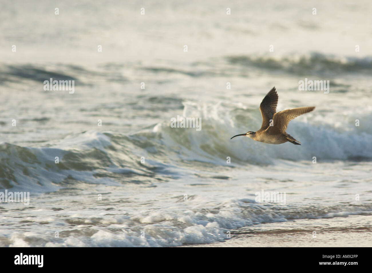 Flying over ocean waves breaking hi-res stock photography and images ...