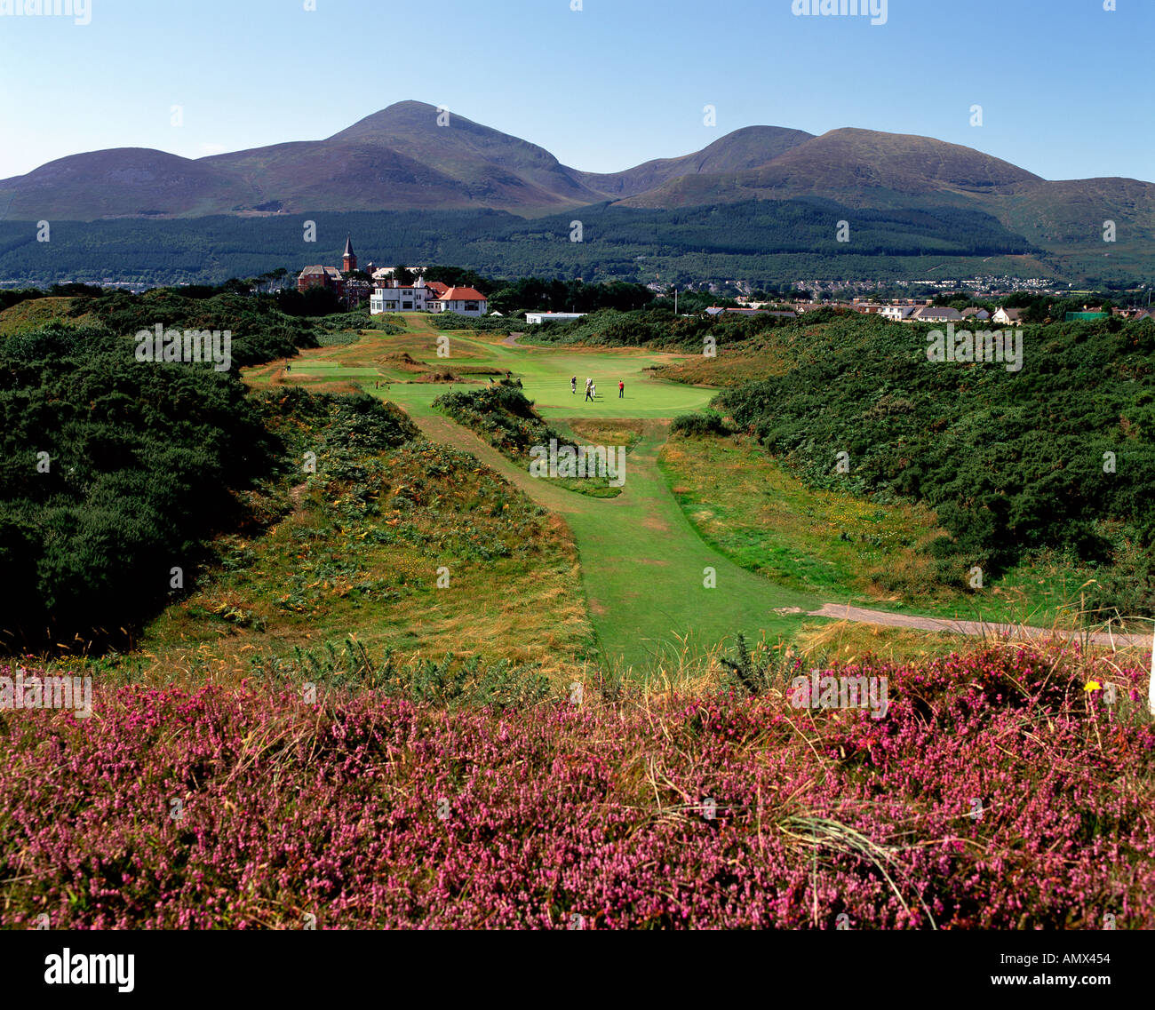 Royal co down golf hi-res stock photography and images - Alamy