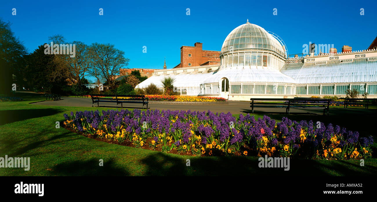 Botanic gardens belfast palm house hi-res stock photography and images ...