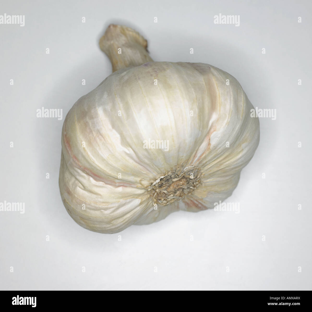 Garlic bulb on white background Stock Photo - Alamy