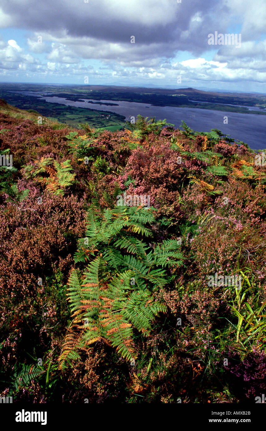 Lower Lough Erne Co Fermanagh Northern Ireland Stock Photo - Alamy